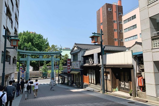 Shinto Shrine Tour: Explore Japanese Culture in Tokyo - Discovering the Shrines