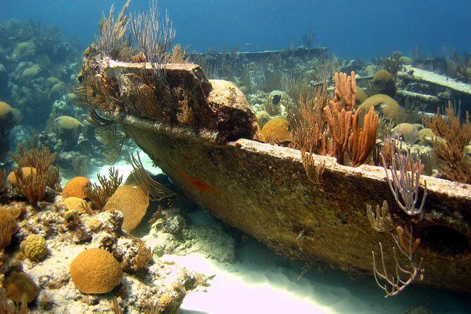 Shipwreck Snorkel in Bermuda - The Wrecks: Why They Matter