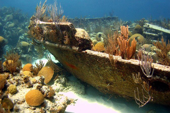 Shipwreck Snorkel in Bermuda - Frequently Asked Questions