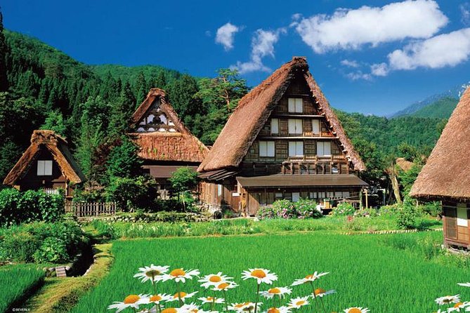 Shirakawago All Must-Sees Private Chauffeur Tour With a Driver (Takayama DEP.) - Customer Experience and Feedback