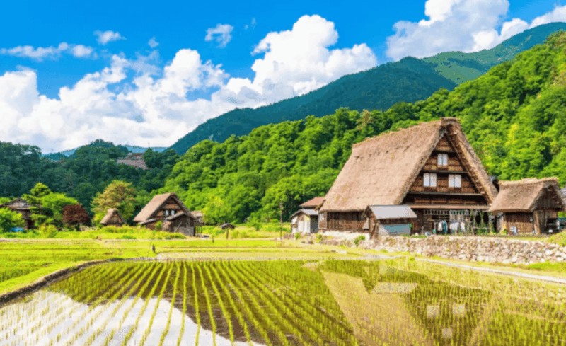 Shirakawago & Hida & Takayama Snowwall 2DAYS Tour From Osaka - Frequently Asked Questions