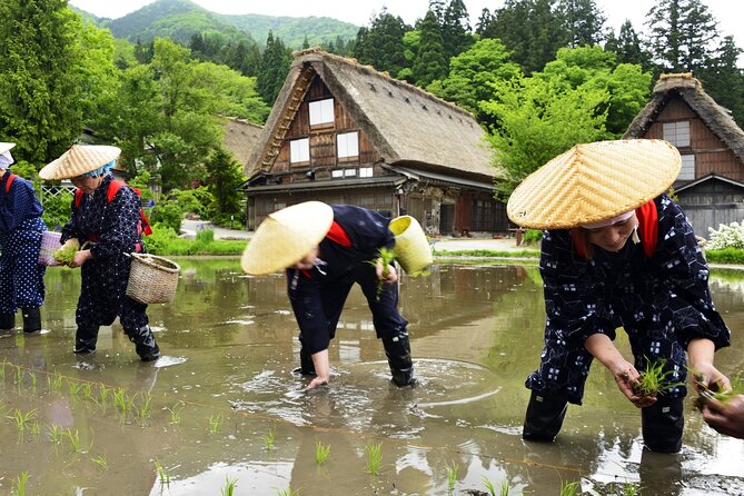 Shirakawago & Takayama Tour Kanazawa DEP: Driver Only, No Guide - Accessibility and Participant Information