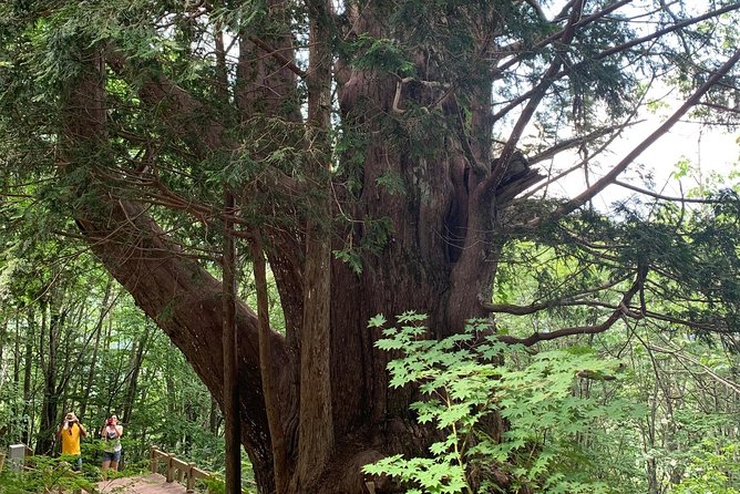 Shirakawago(Unesco World Heritage)/ Onsen / Hiking / 1day Tour - Itinerary and Transportation