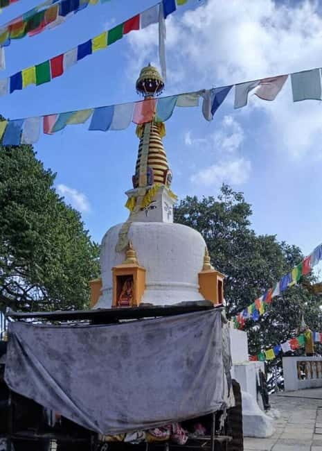Shivapuri Nagarjun: Half-Day Hiking to Jamacho Gumba - Key Points