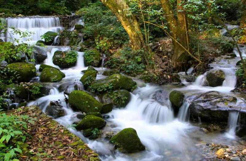 Shivapuri National Park Hike  Scenic Day Trek - What Makes This Trek Stand Out?