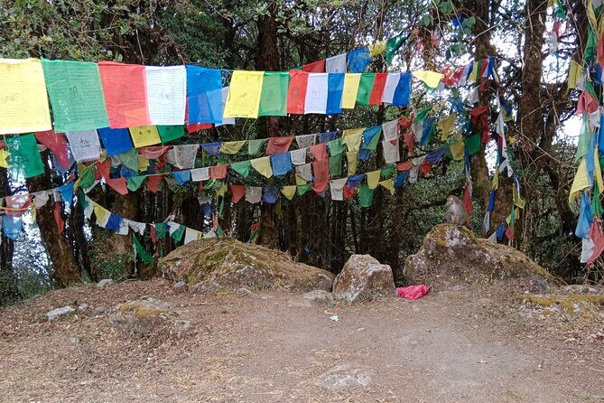 Shivapuri Peak Day Hike from Kathmandu - Who Should Book This Hike?