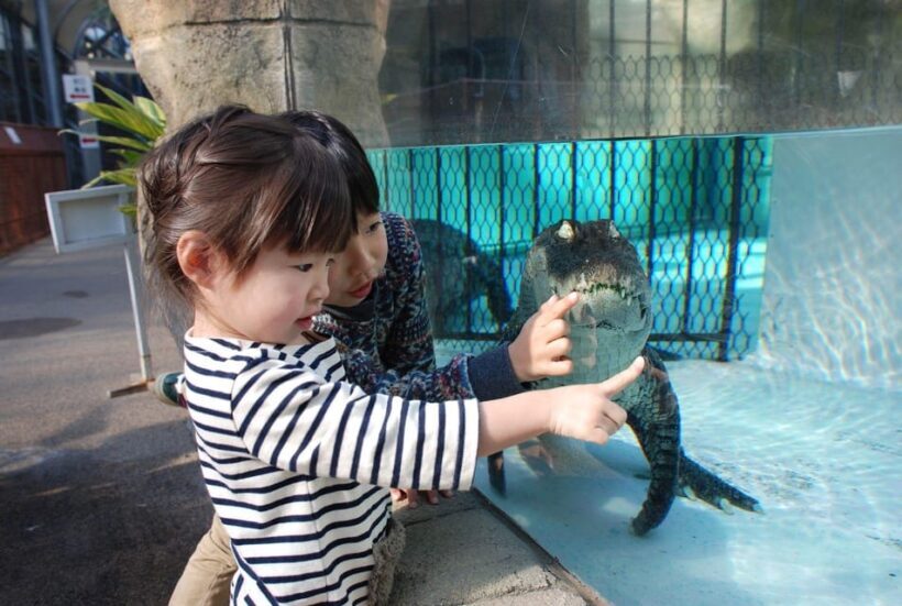 Shizuoka: Atagawa Tropical & Alligator Garden Entrance - FAQ
