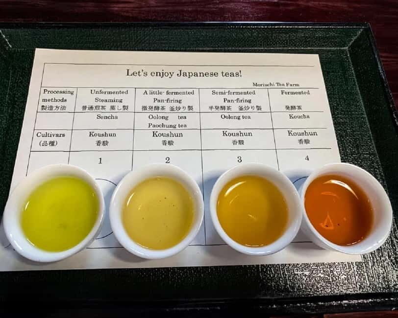 Shizuoka: Japanese Tea Tour with Tasting and Tea Making - What’s Included and What to Keep in Mind