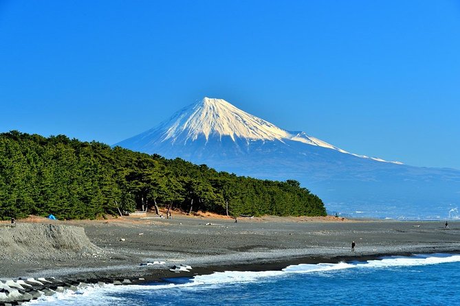 Shizuoka/Shimizu Mt Fuji View 6 Hr Private Tour: Guide Only - Key Points