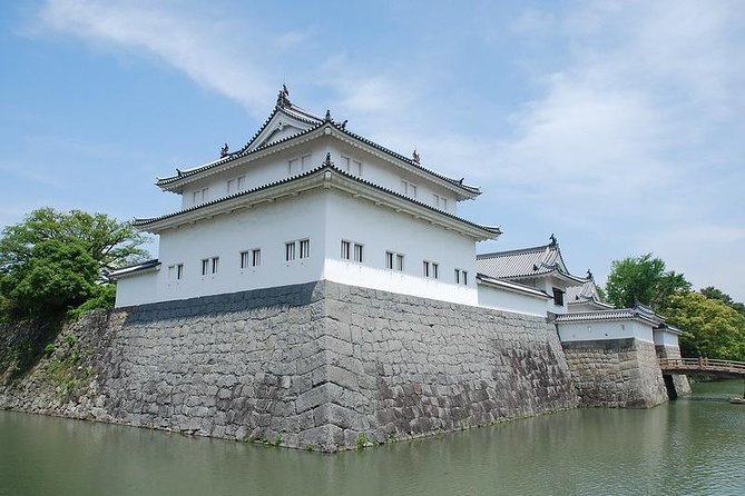 Shizuoka/Shimizu Mt Fuji View 6 Hr Private Tour: Guide Only - Accessibility and Participation