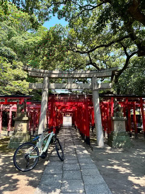 Shizuoka : Shimizu Port, E-Bike Tour - Tasting Local Delicacies and Beverages