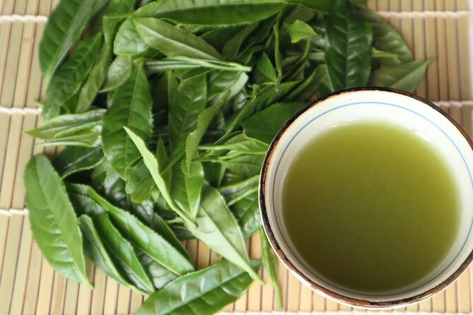 Shizuoka Tea Picking Private Experience - Tea Picking and Harvesting Process