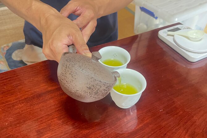 Shizuoka Tea Picking Private Experience - Recommendations and Considerations