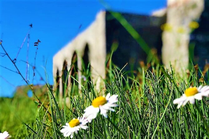 Shkodra, Full Day Trip from Tirana - Key Points