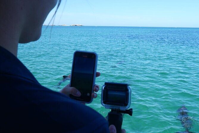 Shoalwater Islands Marine Park Cruise with Lunch - Practical Details: How to Make the Most of Your Trip