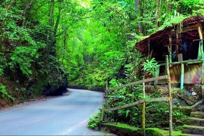 Shopping and Sightseeing Tour in Ocho Rios - Exploring the Charm of Ocho Rios: A Practical Review of the Shopping and Sightseeing Tour