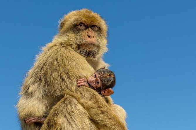 SHORE EXCURSION 3.30hrs Half Day Tour - The extensive itinerary explained