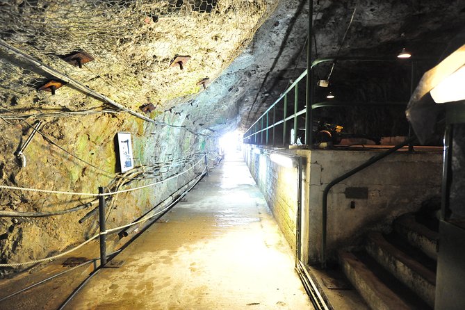 SHORE EXCURSION 3hrs Tunnel Tour - Who Will Enjoy This Experience?