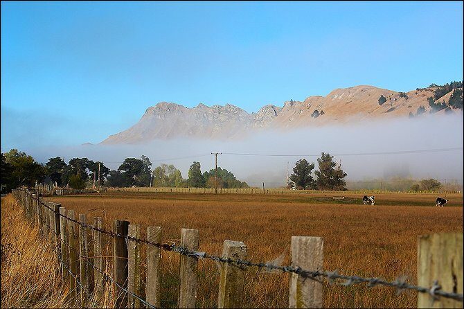 Shore Excursion: 4-Hour Discover Hawkes Bay and Napier Tour - Authentic Traveler Insights