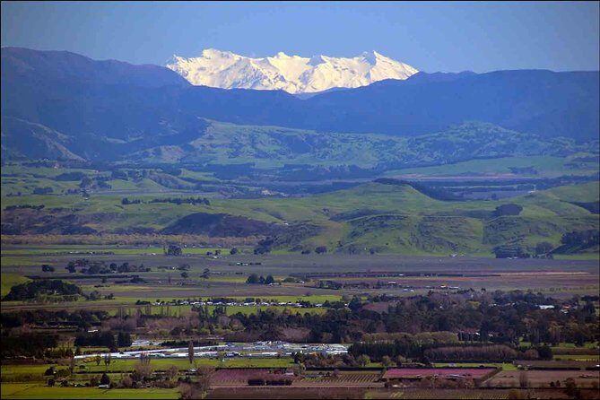 Shore Excursion: 4-Hour Discover Hawkes Bay and Napier Tour - Practical Tips for the Tour