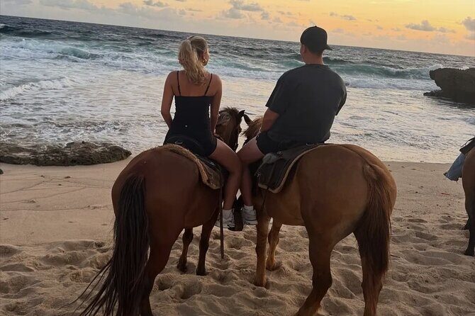 Shore Excursion Arubas Ecological and Beach Horseback Riding - Final Thoughts: The Value of a Gentle Ride