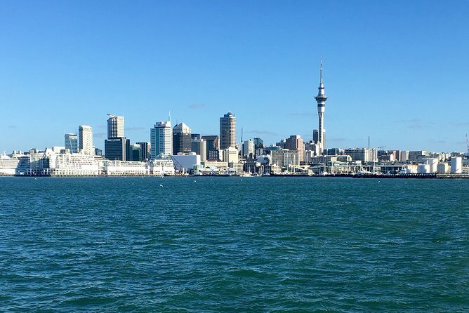 Shore Excursion: Auckland Scenic Full Day Tour - 8 Hours - Comprehensive Review of the Auckland Scenic Full Day Tour - 8 Hours