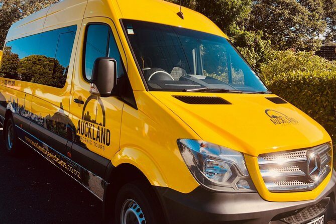 Shore Excursion: Auckland Scenic Full Day Tour - 8 Hours - Considerations and Who Should Book