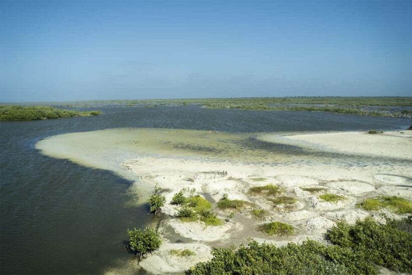 Shore Excursion: Buggy Tour at Punta Sur & Beach Visit - What’s Included and What’s Not