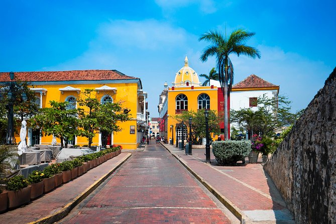 Shore Excursion Cartagena City Tour - Accessibility and Requirements