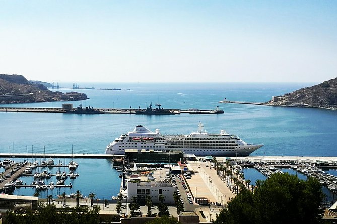 Shore Excursion: Cartagena Half-Day Private Tour - The Sum Up