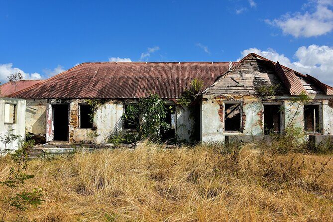 Shore Excursion: City of St John's Sightseeing Tour - Who This Tour Is Best For