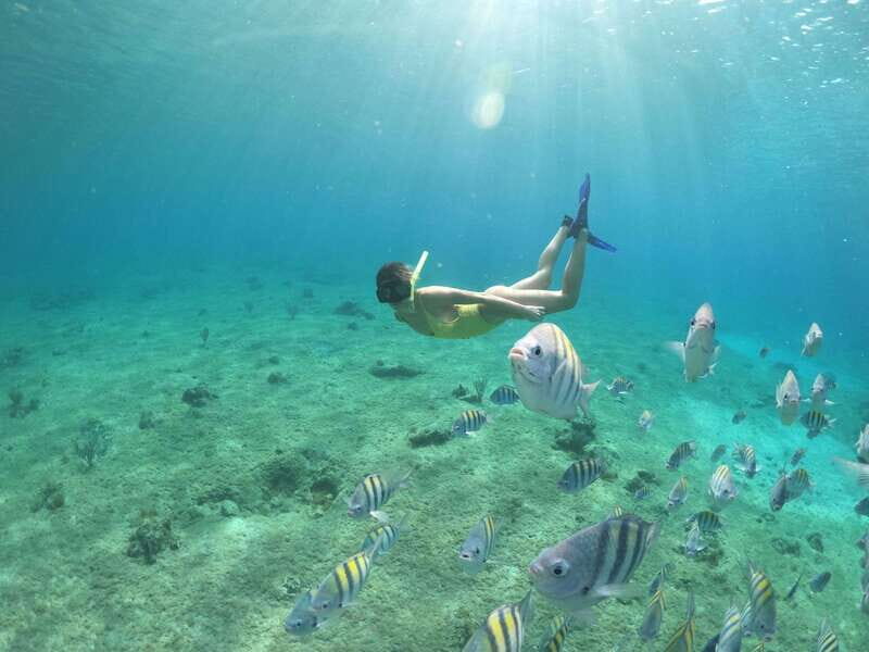 Shore Excursion: Clear Boat Tour with Snorkel & Drinks - Key Points