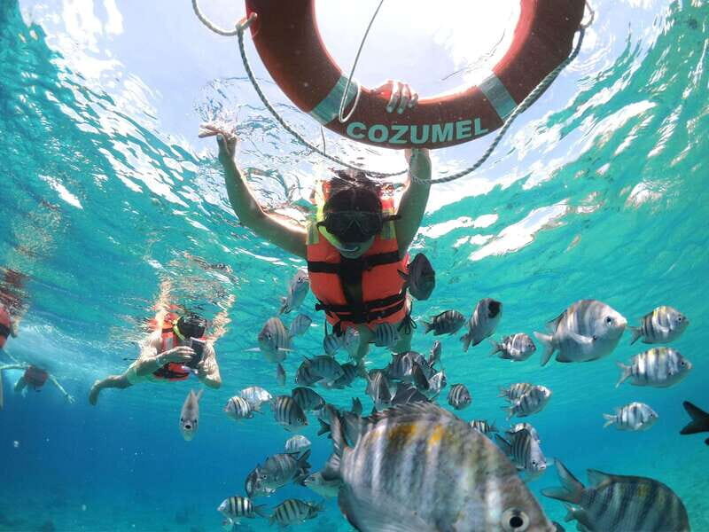 Shore Excursion: Clear Boat Tour with Snorkel & Drinks - Authentic Feedback from Travelers