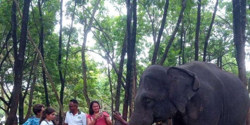 Shore Excursion Colombo Highlight Tour from Passenger Pier. - The Experience of Transportation and Logistics