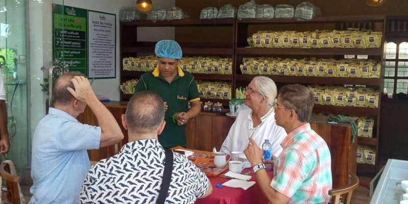 Shore Excursion Colombo Highlight Tour from Passenger Pier. - Considerations for Travelers