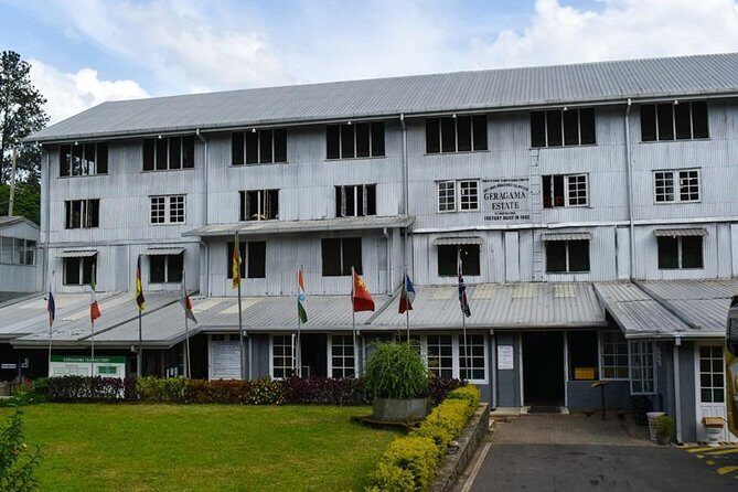 Shore Excursion Colombo Port to Kandy & Tea Factory - Key Points
