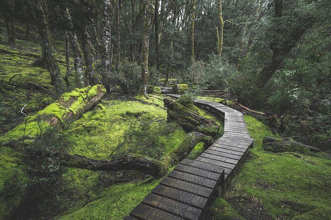 Shore Excursion - Cradle Mountain Shuttle Bus from Burnie - The Value of Guided Expertise