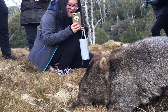 Shore Excursion - Cradle Mountain Shuttle Bus from Burnie - Final Thoughts: Is it Worth It?