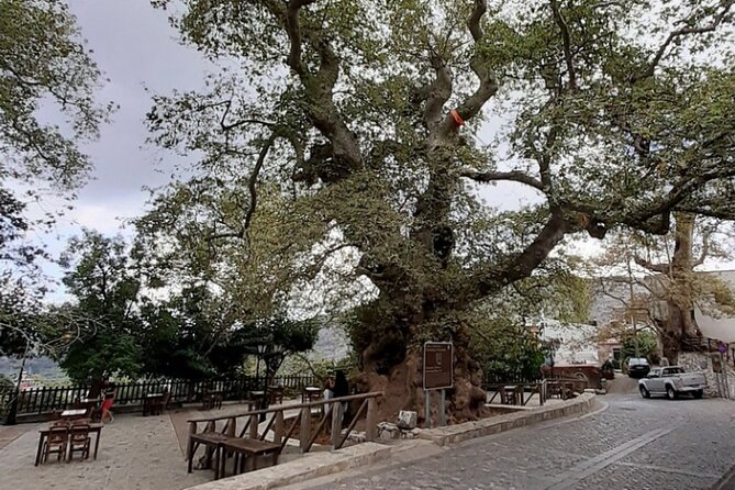 Shore Excursion Crete, Cave of Zeus, Palace of Knossos & Villages - The Sum Up: Is This Tour Worth It?