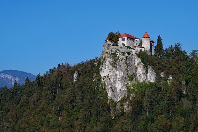 Shore Excursion/Day Tour to Lake Bled and Ljubljana From Koper - Pickup and Drop-off Locations