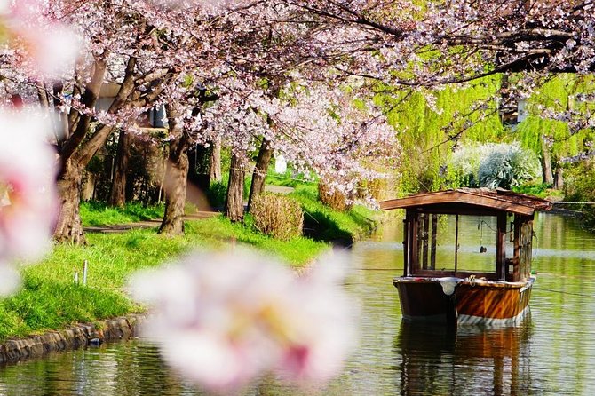 Shore Excursion: Day Trip To Kyoto From Osaka Port - Transportation and Meeting Details