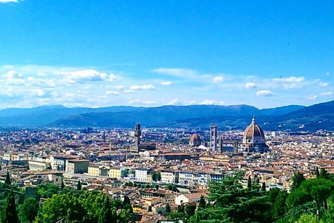 Shore Excursion from Livorno: Private Florence Tour with Michelangelo's 'David' - Transportation and Group Size