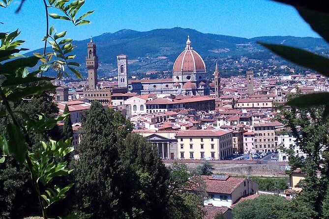 Shore Excursion from Livorno: Private Florence Tour with Michelangelo's 'David' - FAQ