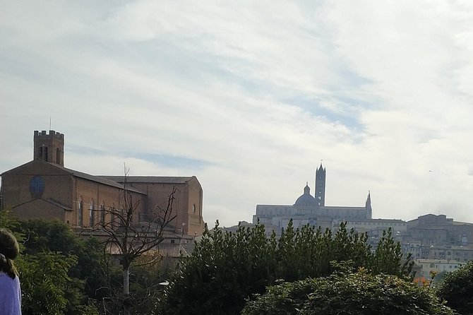 Shore excursion from Livorno to Siena and San Gimignano by private minivan - What’s Included and What’s Not