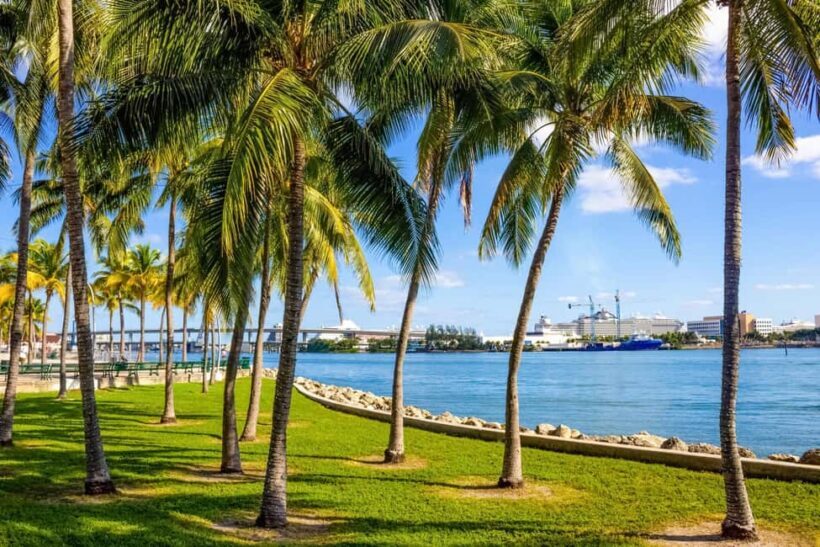 Shore Excursion from Port of Miami: City and Cruise Tour - Who Should Consider This Tour?