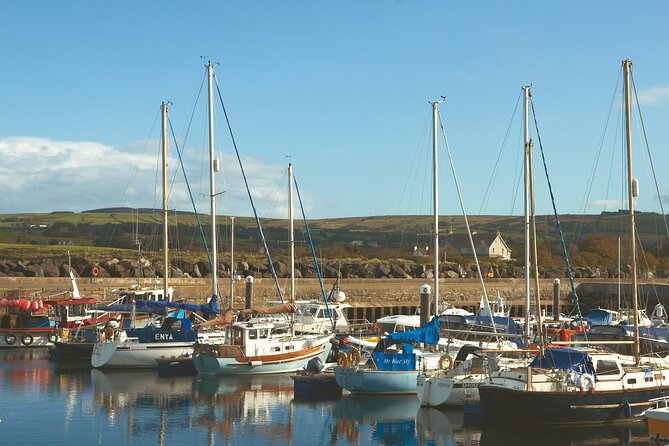 Shore Excursion: Giants Causeway Tour From Belfast Port (Extra Leg Room Bus) - Traveler Experiences and Reviews