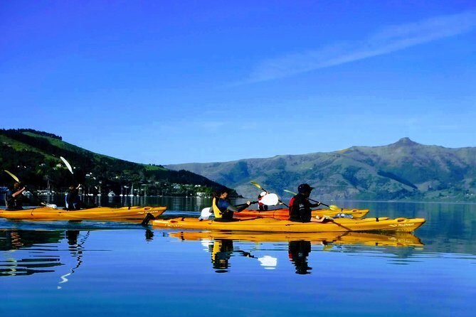 Shore Excursion Guided Sea Kayaking through Akaroa Marine Reserve - Key Points