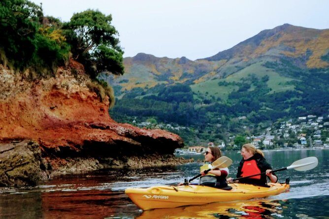 Shore Excursion Guided Sea Kayaking through Akaroa Marine Reserve - In-Depth Look at the Experience