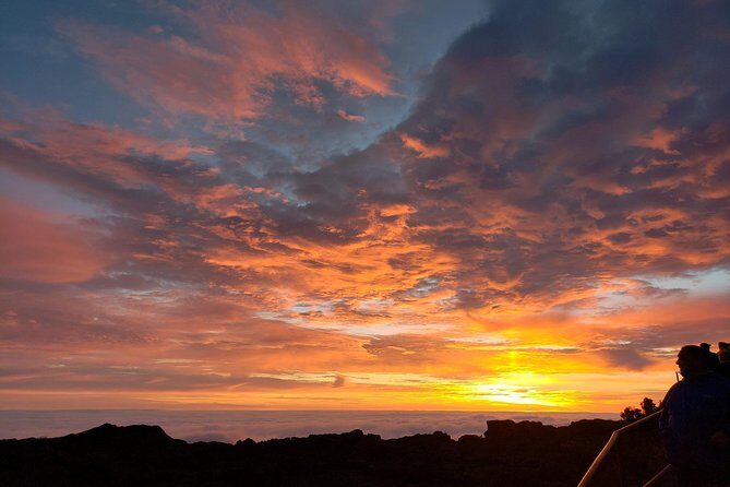 Shore Excursion: Haleakala Sunrise Tour for Pride of America Passengers - Who Will Love This Tour?