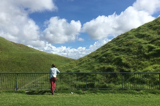 Shore Excursion: Half-Day Auckland Volcanoes Tour - What the Reviews Say